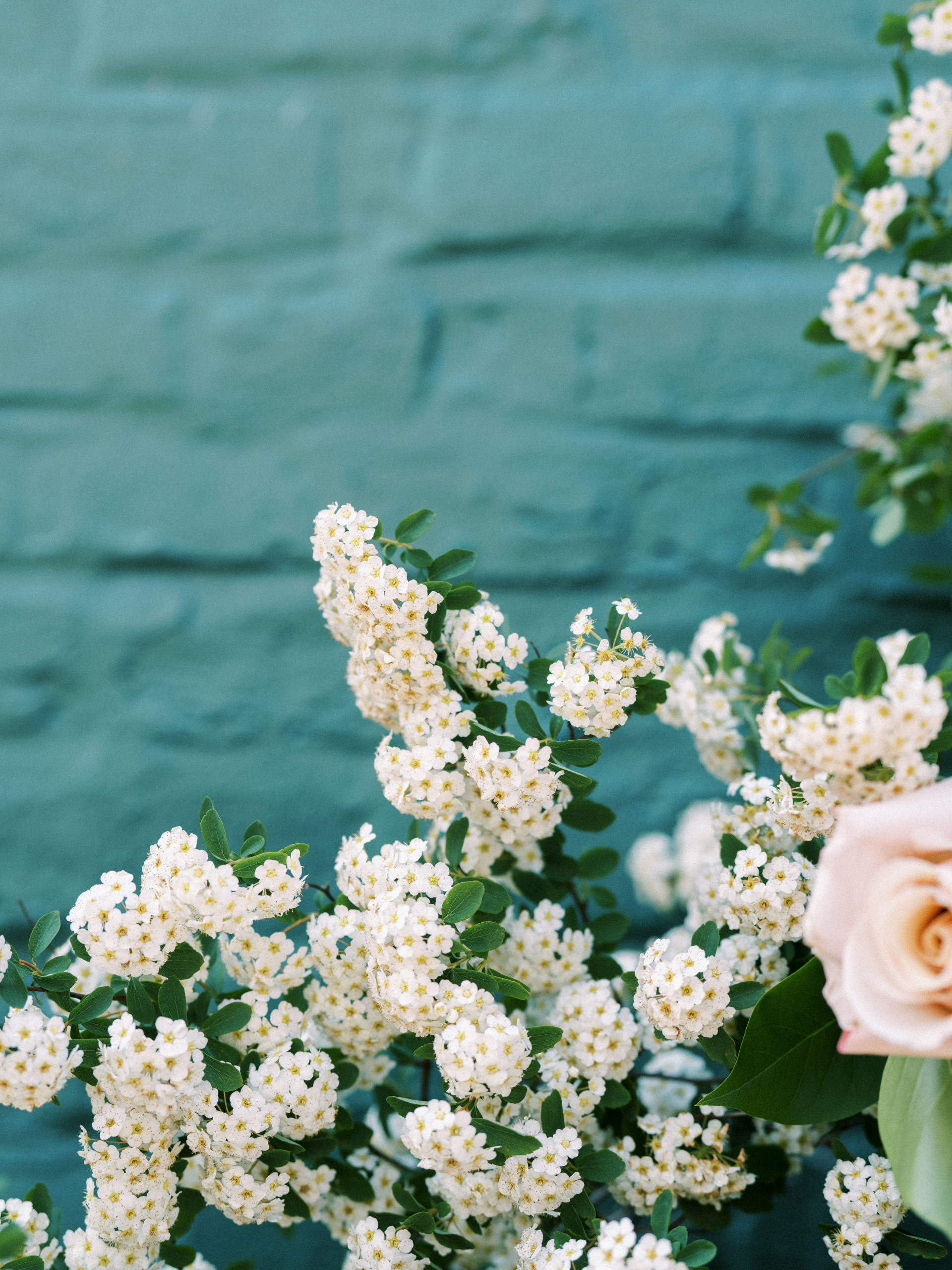 #SPREADLOVE Installation Series No.2 - springvalefloral.com